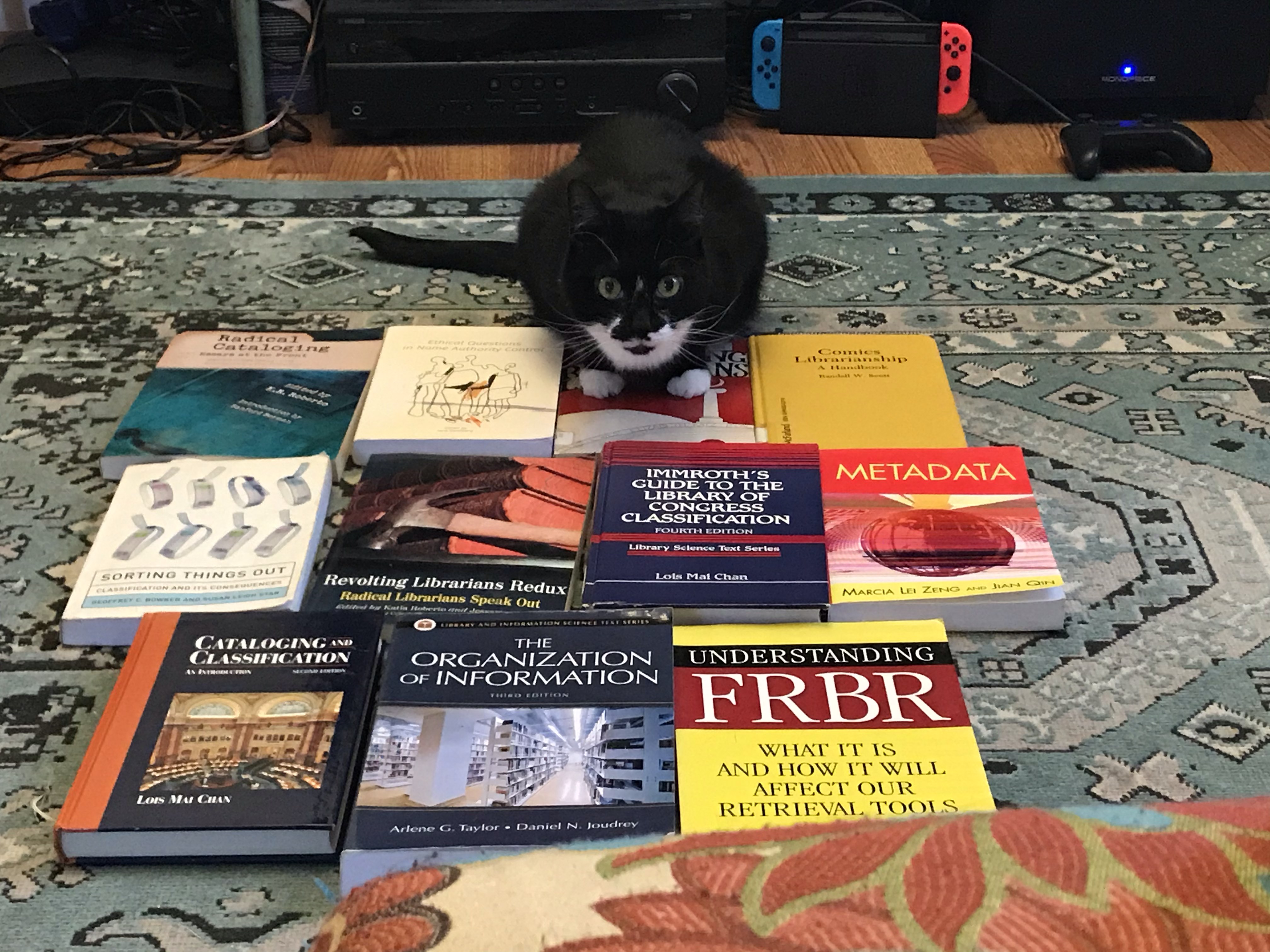 Perspectives – Netanel Ganin | NMRT Notes